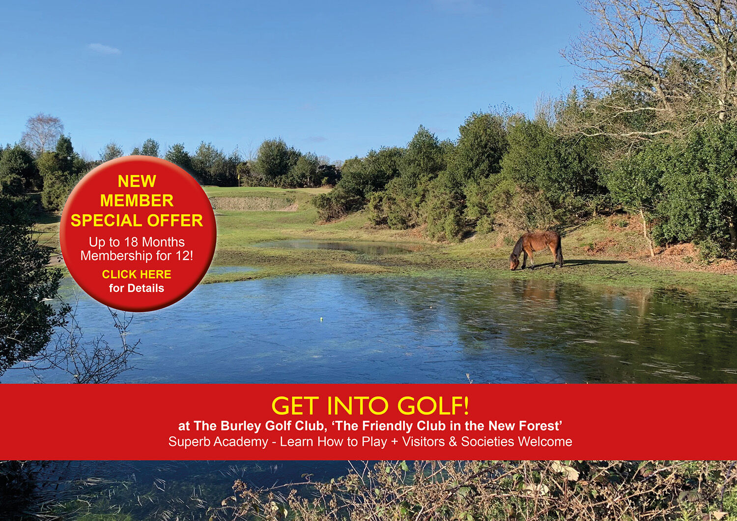 Home :: Golf club and golf course in Ringwood,Hampshire with available ...